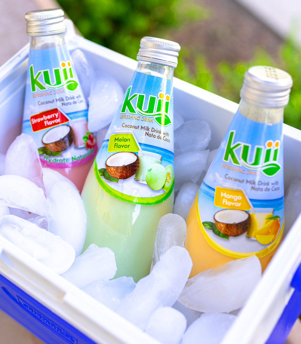 Variety Pack – Kuii Drinks
